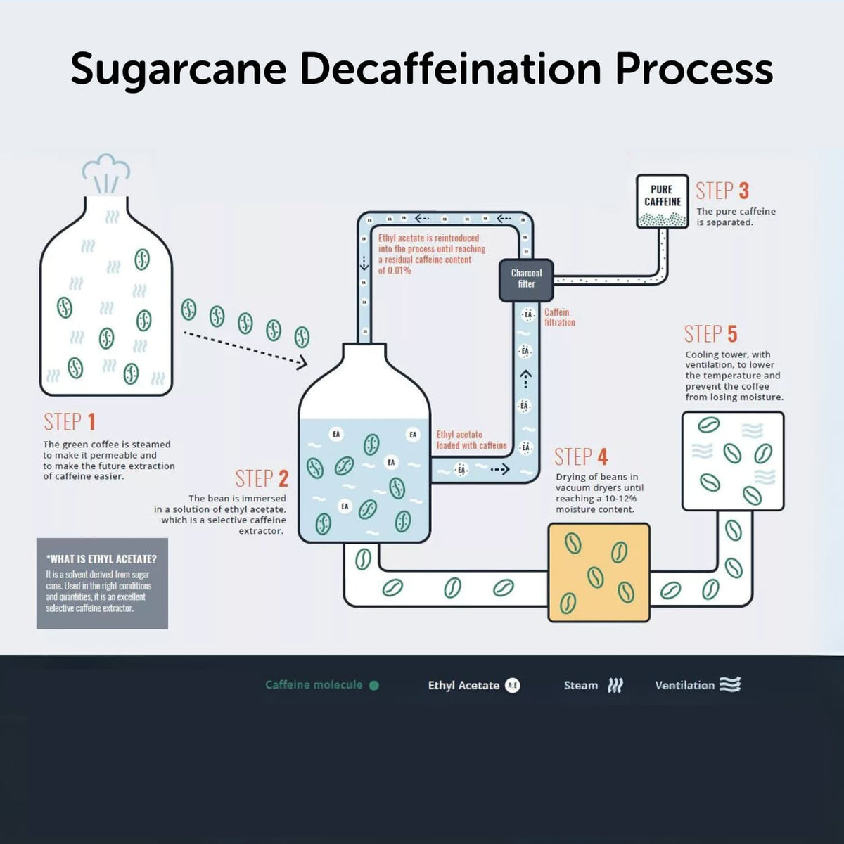 Experience our Sugarcane Decaf Coffee (Bean & Ground) – Blue Goose Coffee