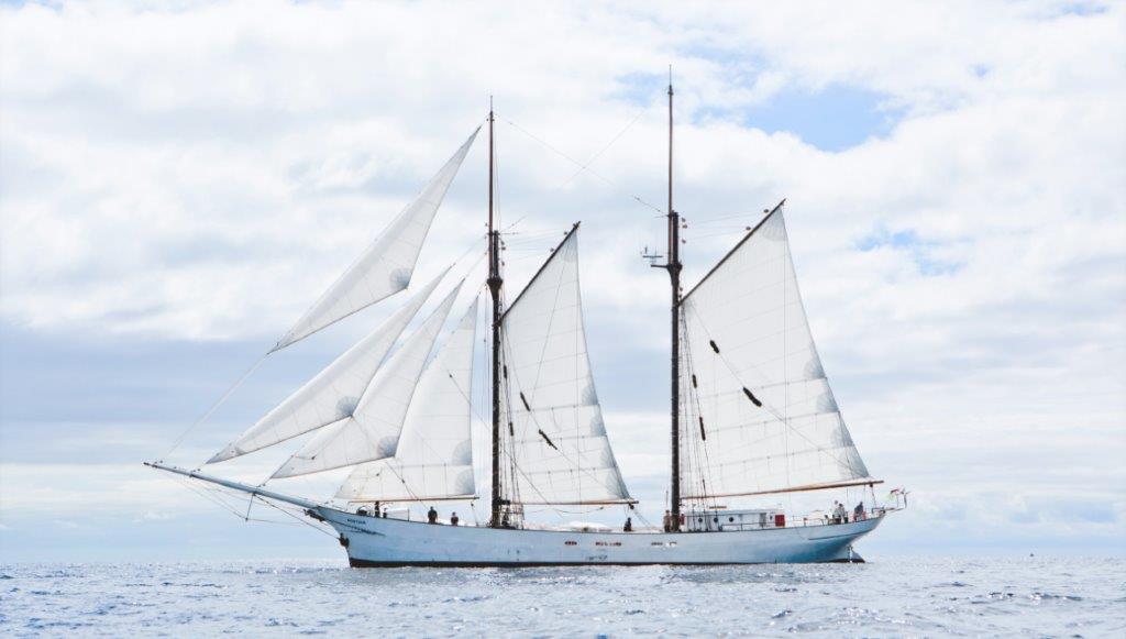 World First Sail Ship Coffee Pod - Blue Goose Coffee
