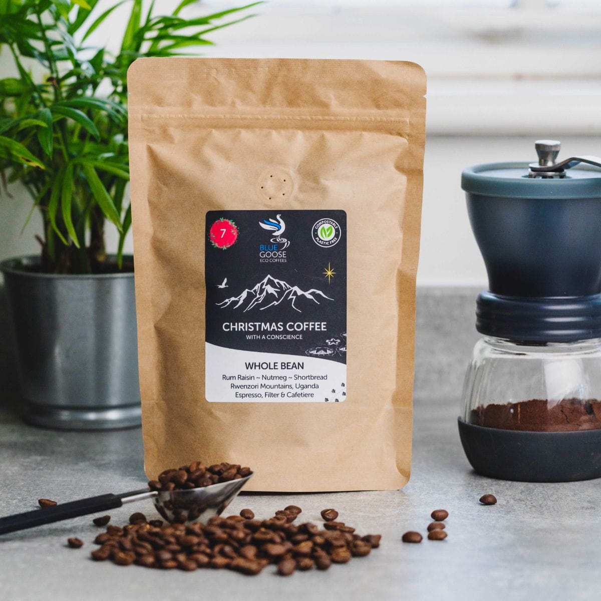 Limited Edition Christmas Coffee - Ground & Bean - Blue Goose Coffee