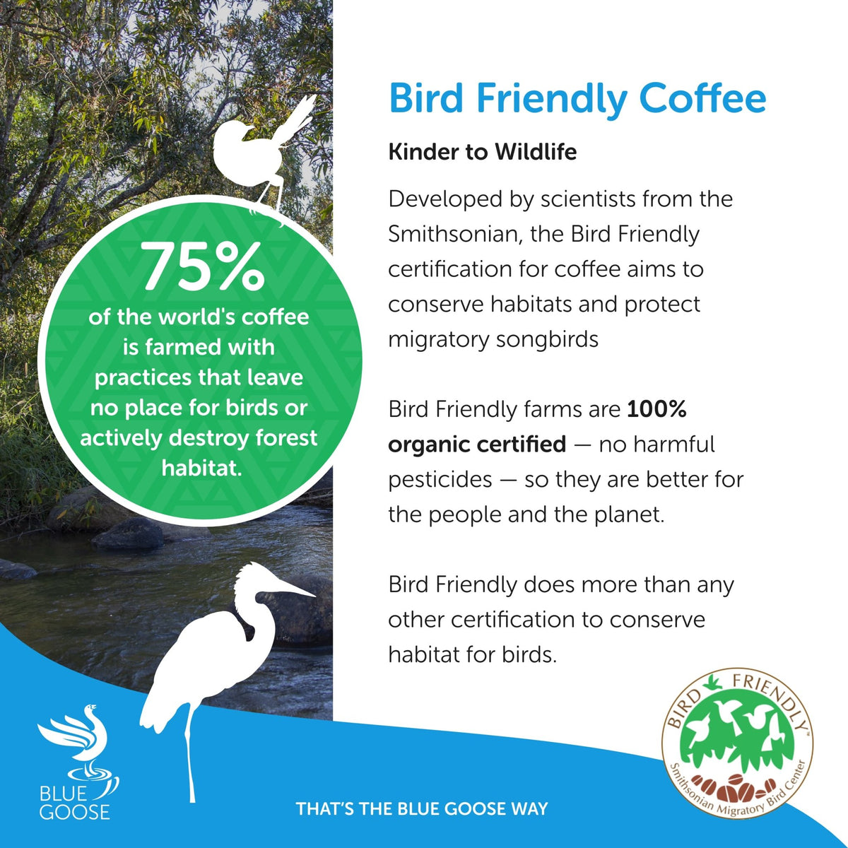 Mix & Match Organic Coffee Pod Bundle - Save 10% – Blue Goose Coffee