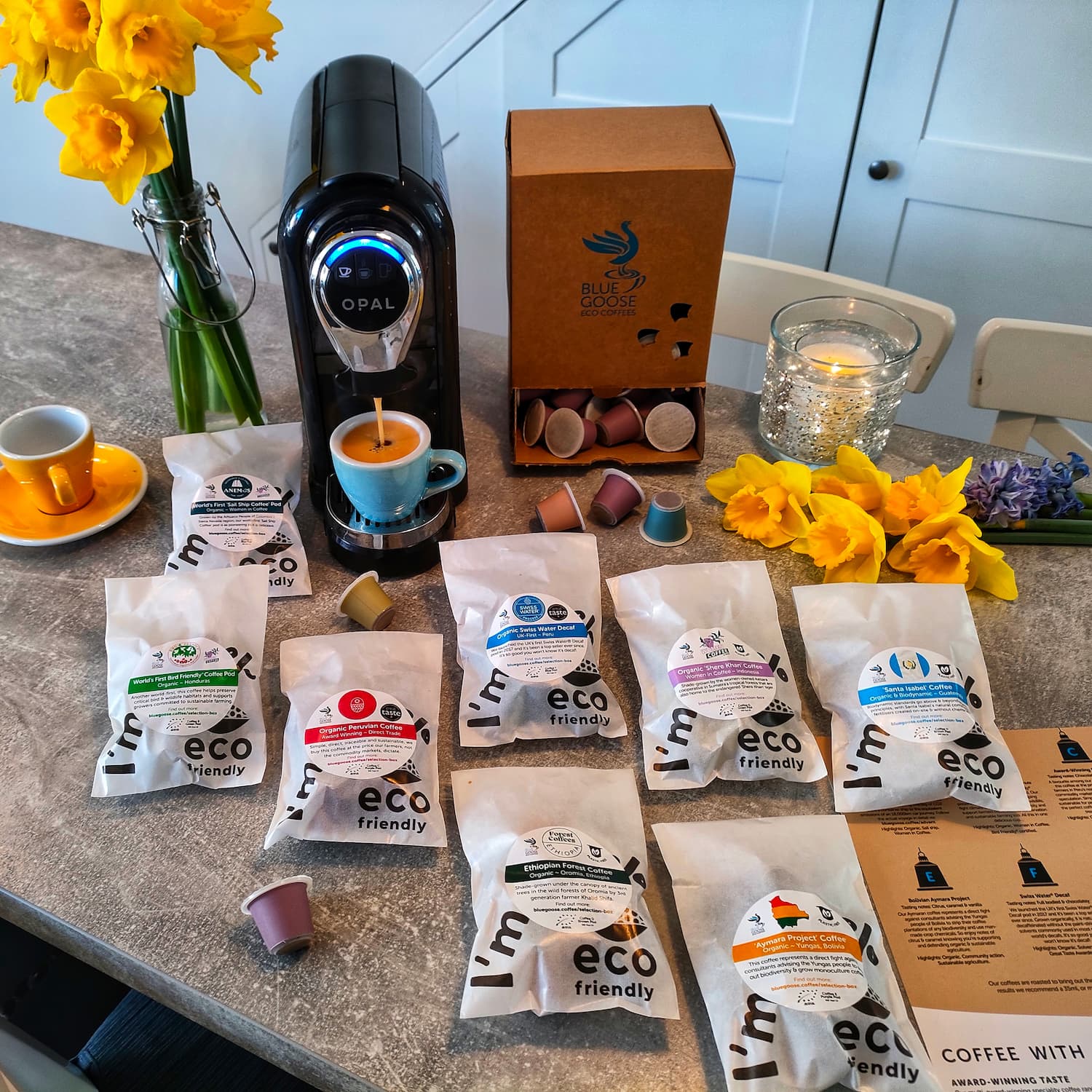 Eco Coffee Pod Gift Selection Box- Blue Goose Coffee