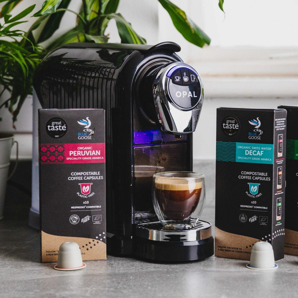 Opal One Machine & Eco Coffee Pod Gift Bundle – Blue Goose Coffee