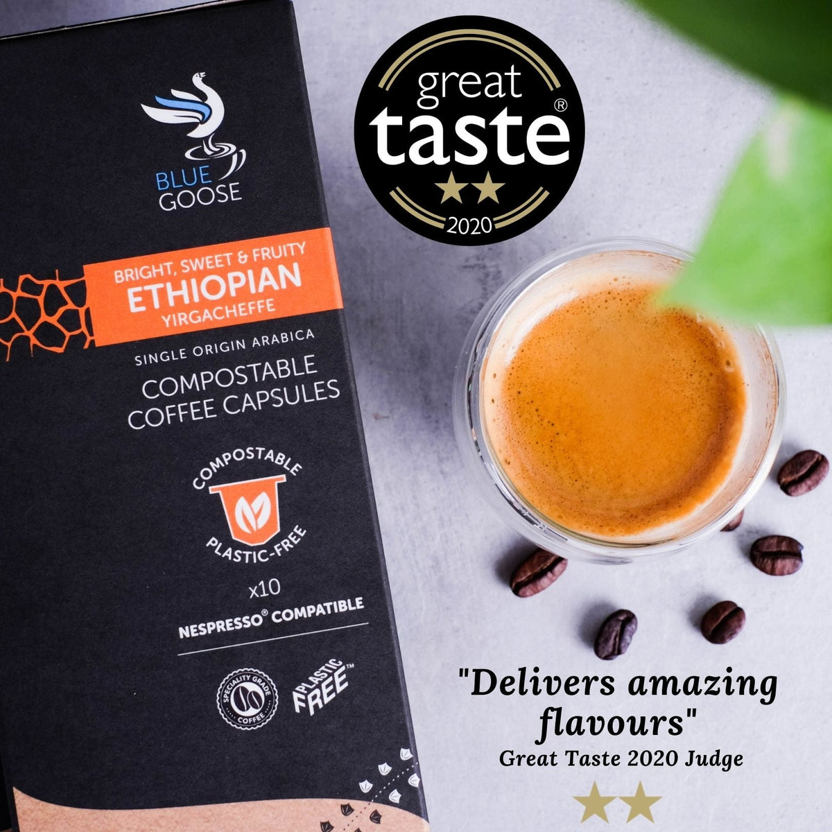 Wholesale - Ethiopian Eco Coffee Pod Cartons - SRP Case – Blue Goose Coffee
